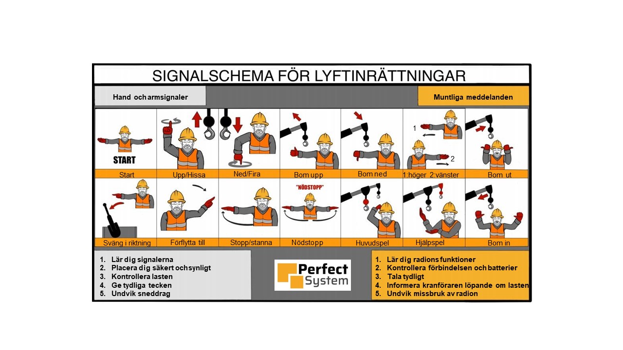 Perfect System - Online Education Course & School